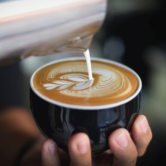 Teifi Coffee - Coffee Online - Subscription - Welsh